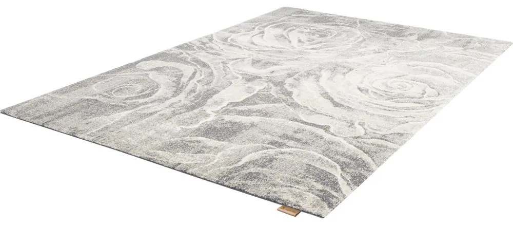 Šedý vlněný koberec 200x300 cm Ros – Agnella