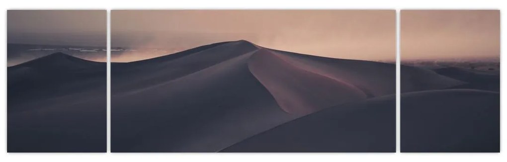 Obraz - Písečné duny (170x50 cm)