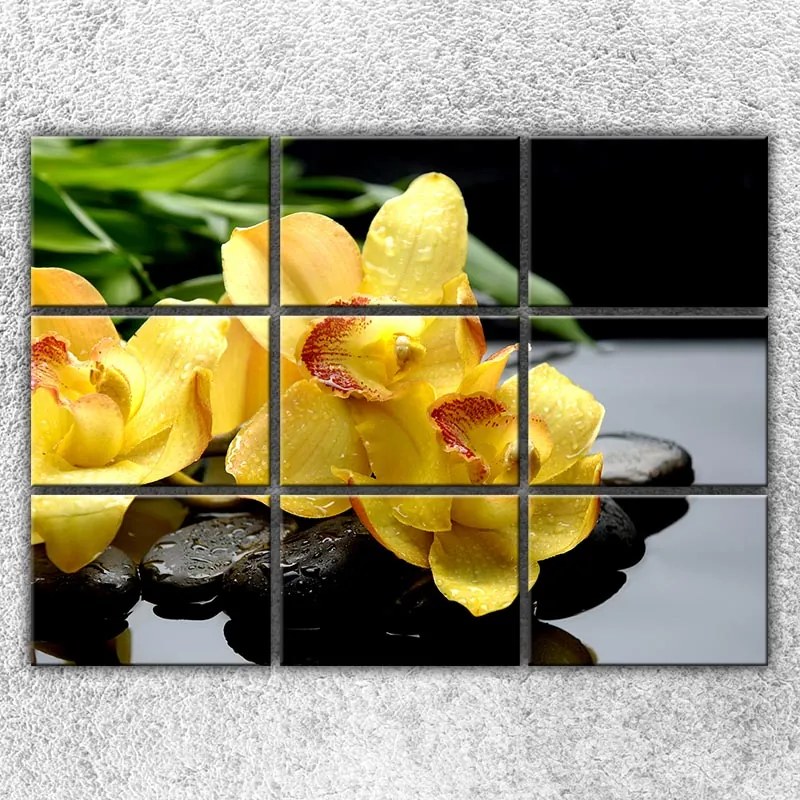 IMPAR Foto na plátno Žluté orchideje na kamenech 2 210x150 cm