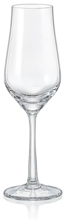 Crystalex - Bohemia Crystal Sklenice na šampaňské Tulipa 170 ml, 6 ks