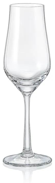 Crystalex Sklenice na šampaňské Tulipa 170 ml, 6 ks