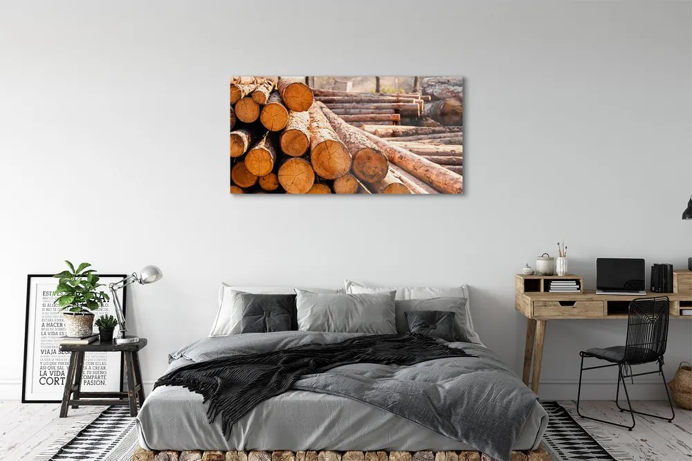 akrylový obraz Dřevěné kuličky 125x50 cm