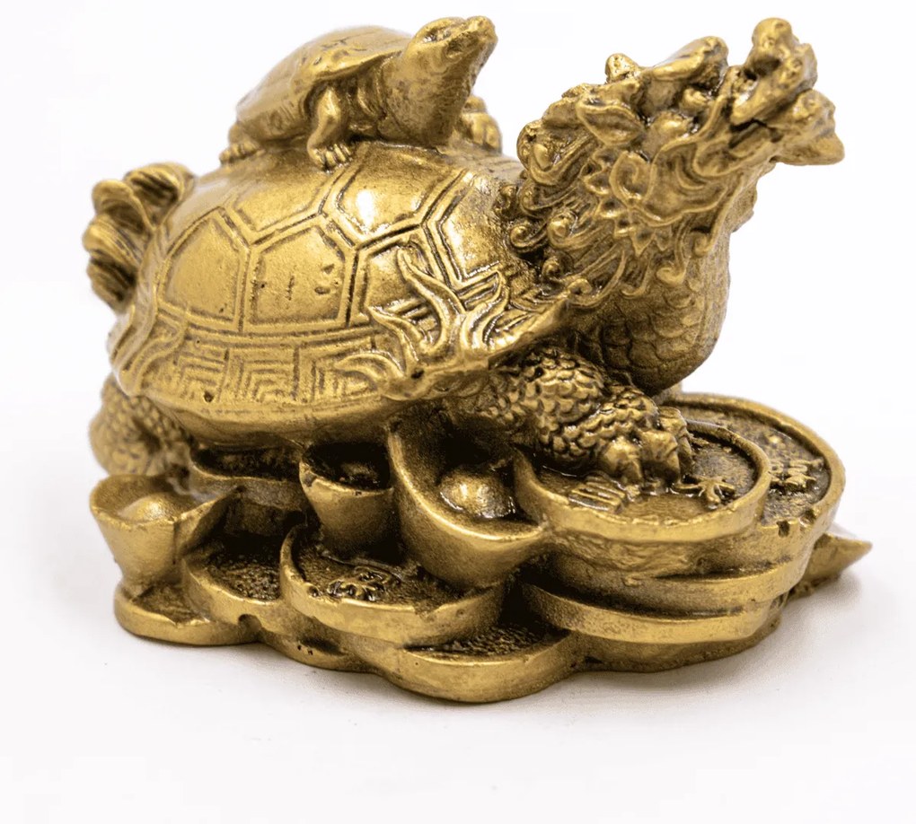 Dračí želva - Feng shui – VADA VAD383