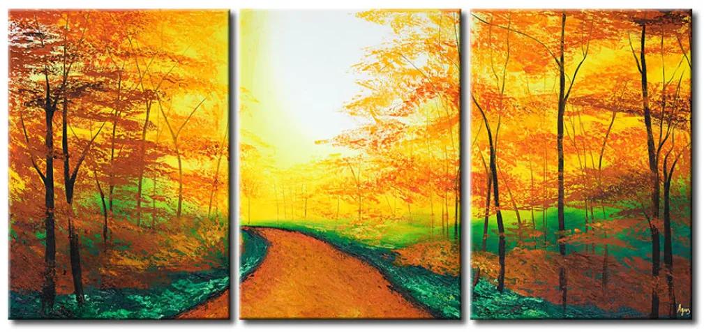 Obraz Cesta lesem (3 díly) - podzimní příroda s stromy a listy