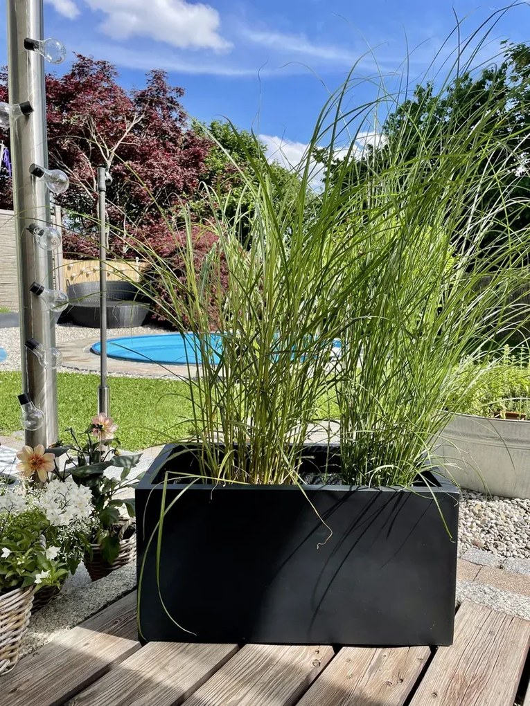 Truhlík MAXI, sklolaminát, šířka 60 cm, antracit