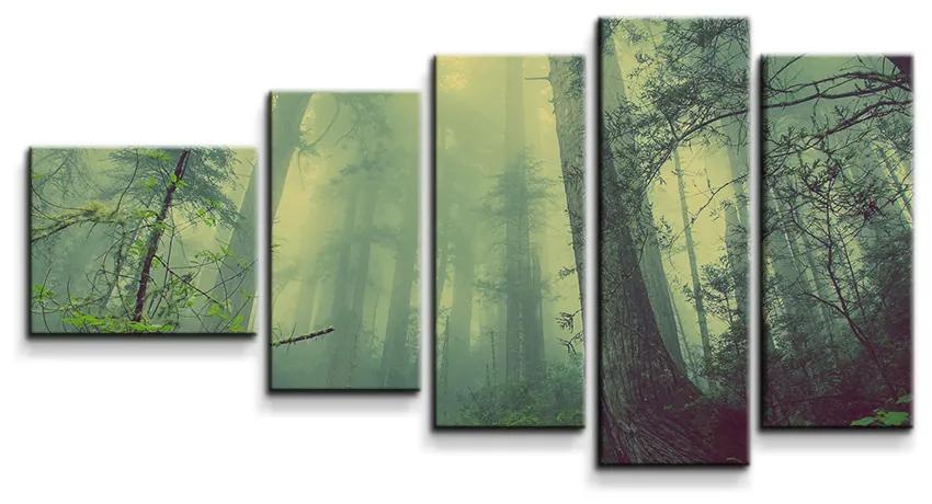 Sablio Obraz - 5-dílný Temný les - 100x60 cm