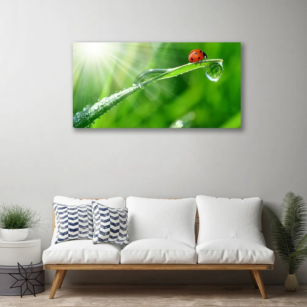 Obraz na plátně Tráva Beruška Příroda 140x70 cm