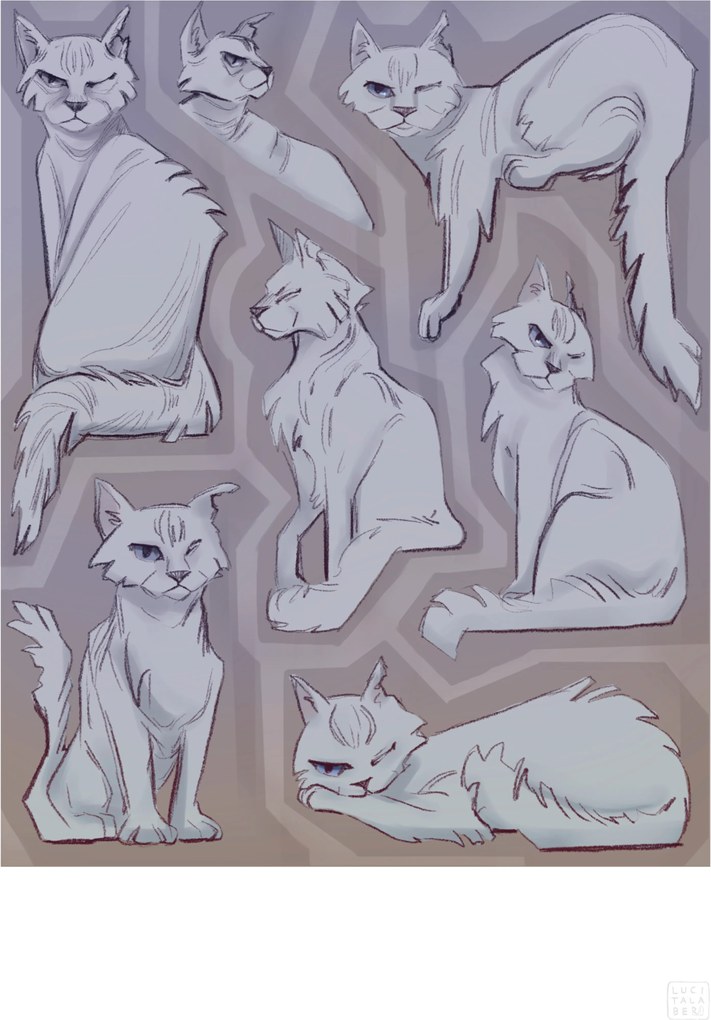 Lucie Talaber | One Eye Cat Rám: Bez rámu, Velikost: 60 x 40 cm