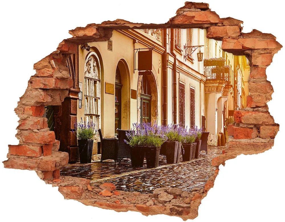 Wallmuralia Fototapeta díra na zeď 3D Krakov Polsko 90x70 cm