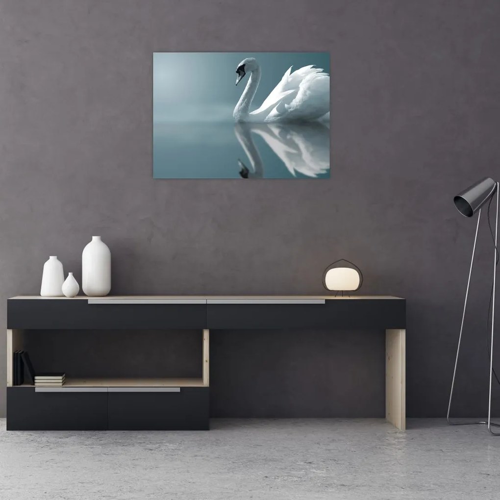 Skleněný obraz - Bílá labuť (70x50 cm)