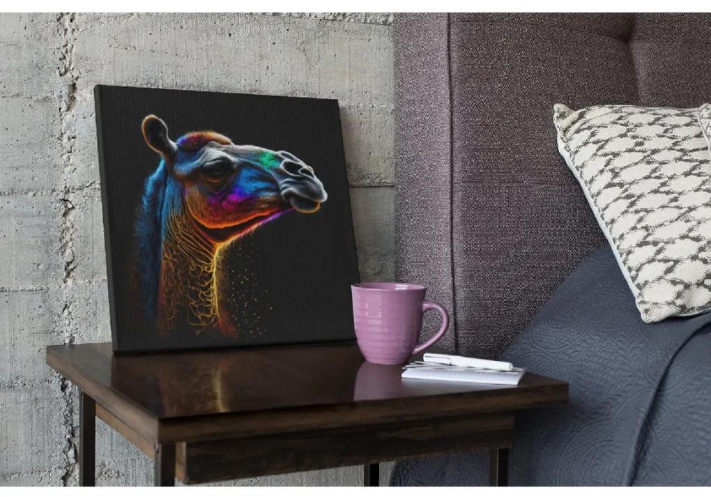 Obraz na plátně - barevný velbloud FeelHappy.cz Velikost obrazu: 120 x 120 cm