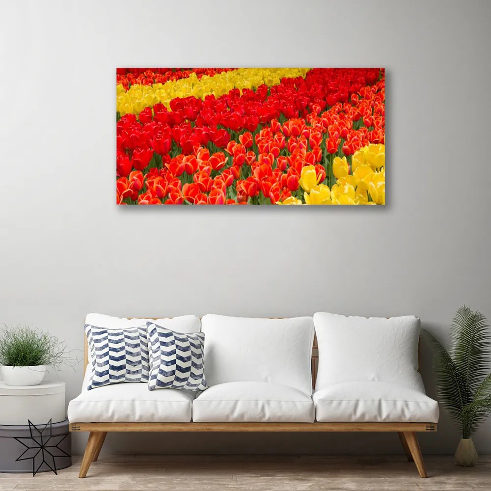 Obraz na plátně Tulipány Květiny 120x60 cm