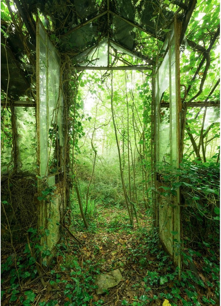 Komar Vliesová fototapeta Greenhouse 200 x 250 cm