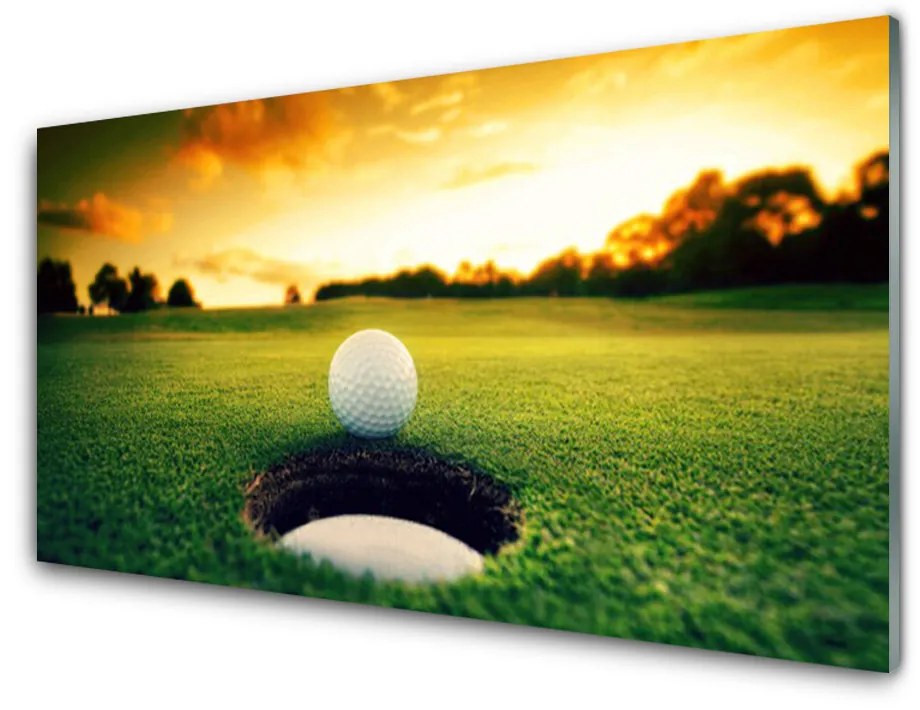 Kuchyňský skleněný panel Golfový Míček Tráva Příroda 100x50 cm