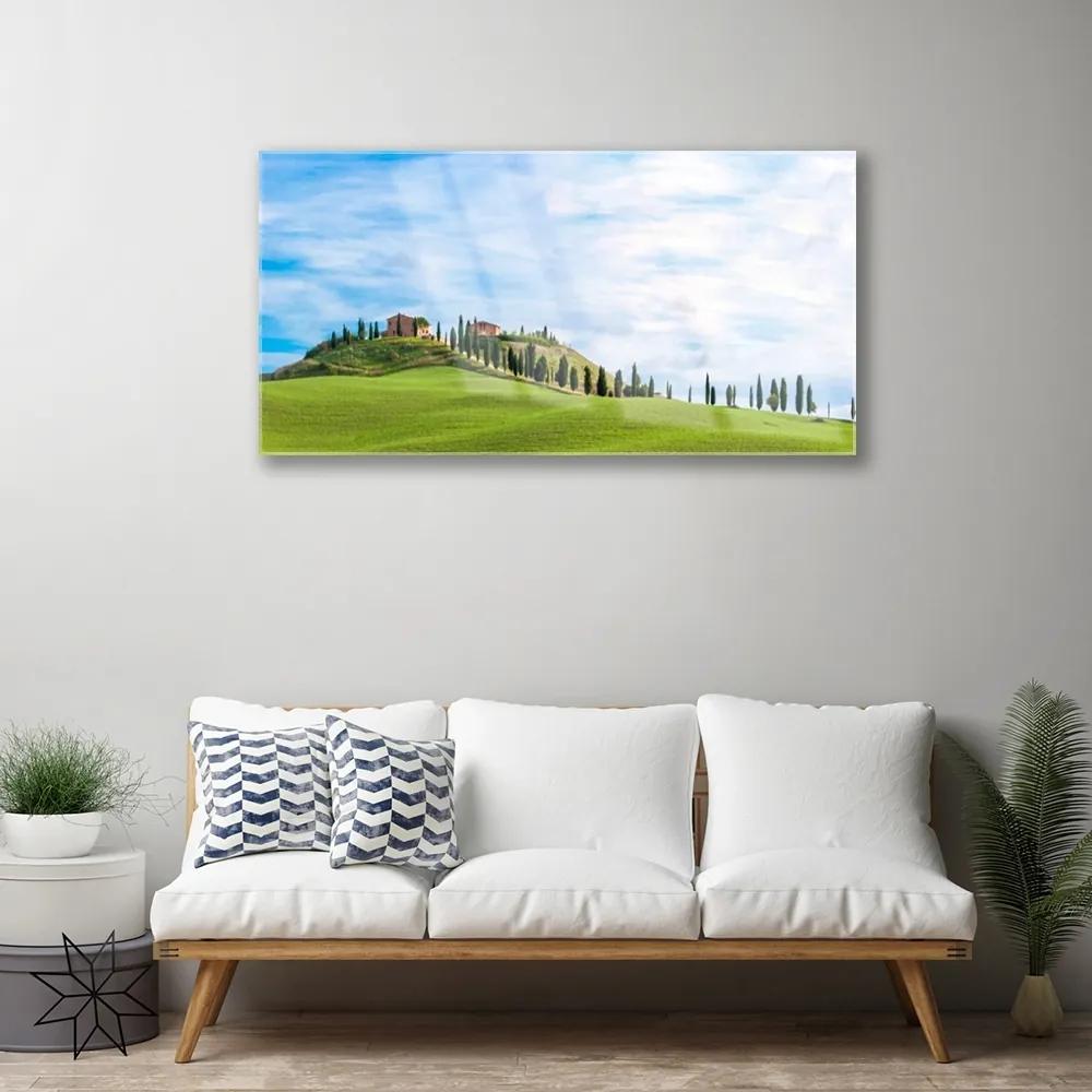 Obraz na skle Louka Stromy Krajina 125x50 cm
