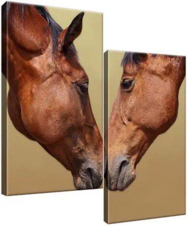 Obraz na plátně Zamilované koně 60x60cm 1373A_2A