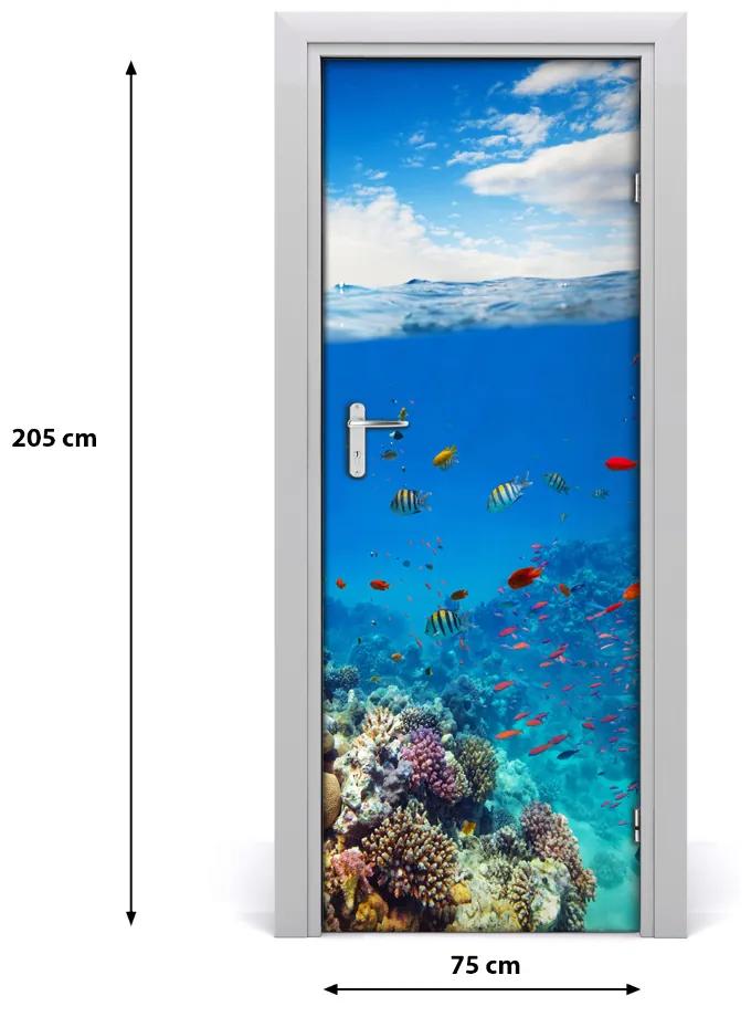 Fototapeta na dveře korálový útes 75x205 cm