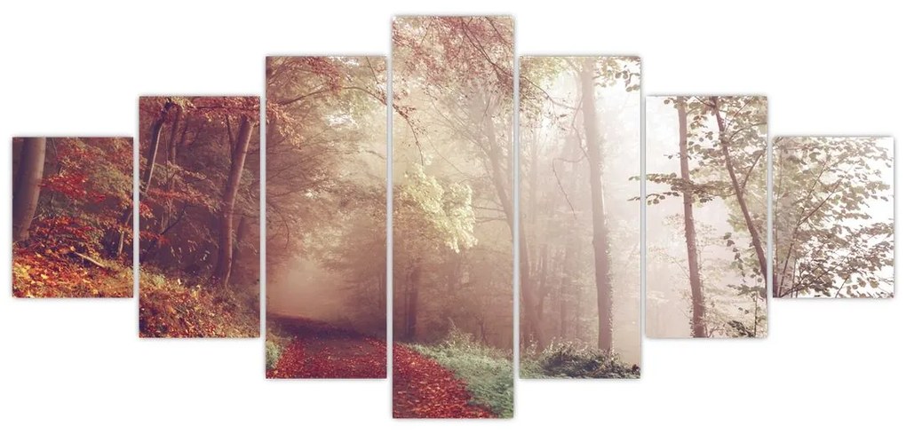 Obraz - Podzimní procházka lesem (210x100 cm)