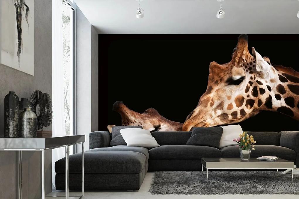 DIMEX | Samolepicí vliesová fototapeta na zeď Žirafí láska MA-5-0446 | 375 x 250 cm | béžová, černá, žlutá, hnědá