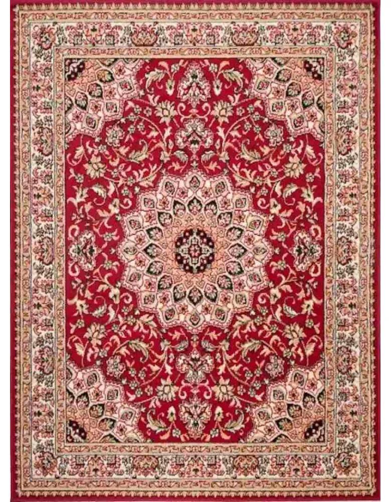 Kusový koberec PP Ezra červený 200x250cm