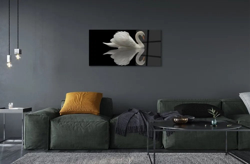 Obraz na skle Swan v noci 140x70 cm