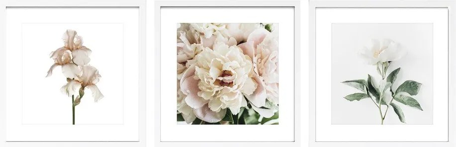 Tištěné obrazy v sadě 3 ks s rámem 30x30 cm Posy – Styler Biano.cz