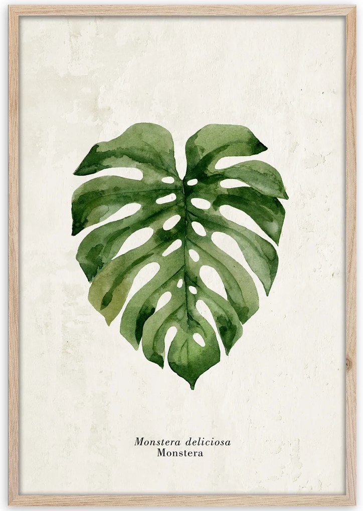 Obraz v rámu MONSTERA 50x70 cm Styler