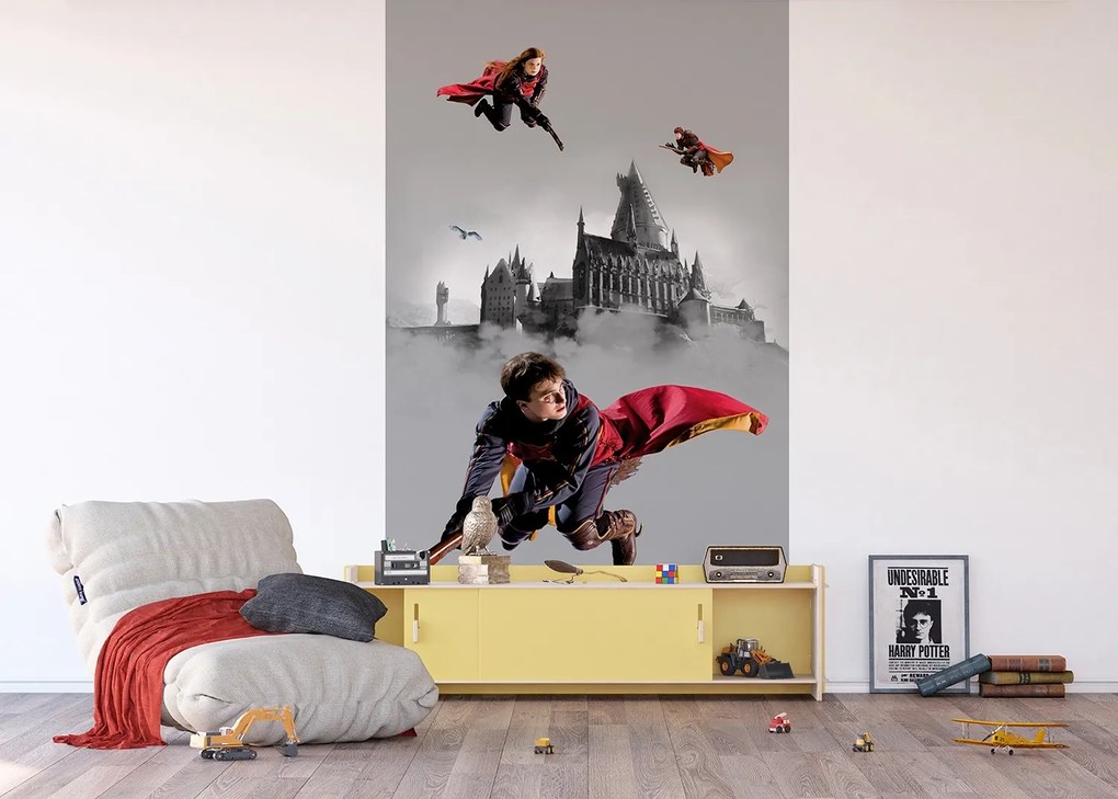 Dětská vliesová fototapeta na zed' Harry Potter Famfrpálové Trio | 150 x 270 cm | DFTD2P5613