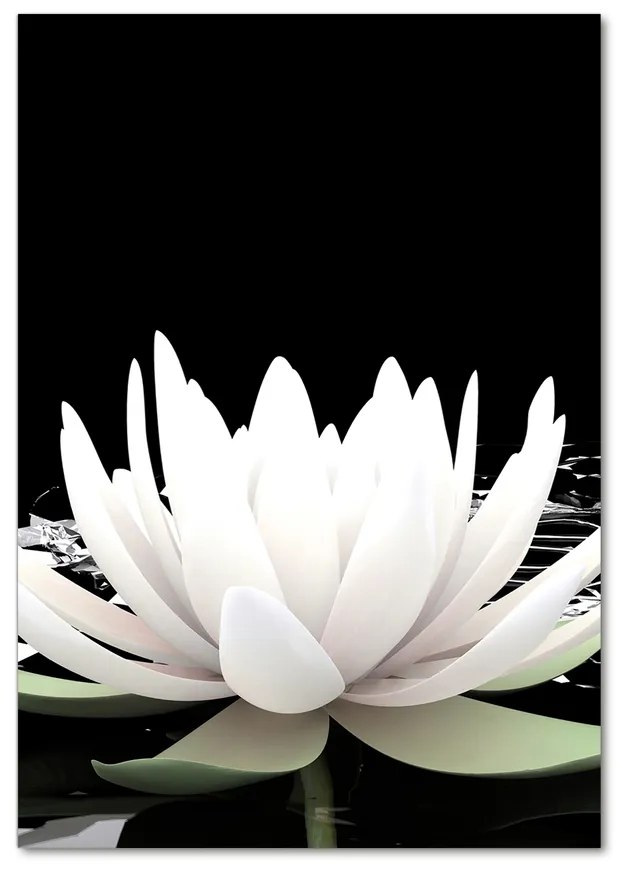 Wallmuralia Foto obraz sklo tvrzené Květ lotosu 70x100 cm