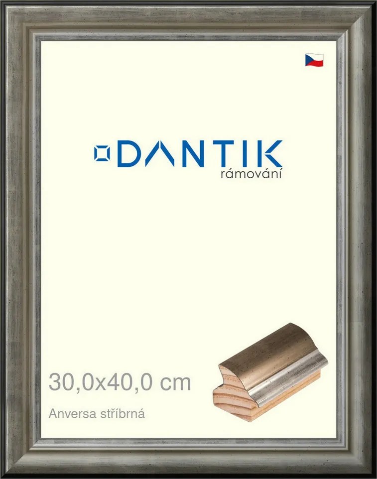 DANTIK rámeček 30x40 | ANIVERSA stříbrná (Plexi Čiré)