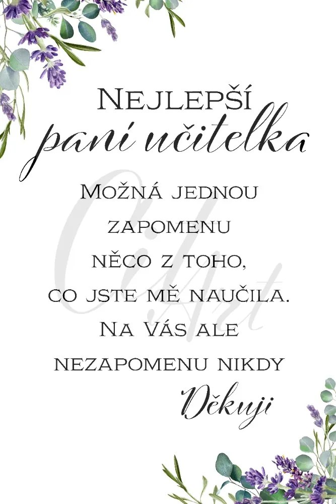 CitArt.cz Nejlepší paní učitelka – možná jednou zapomenu něco z toho, co jste mě naučila. Na Vás ale nezapomenu nikdy Děkuji Motiv: Bílá, Velikost: 30x40 "A3"