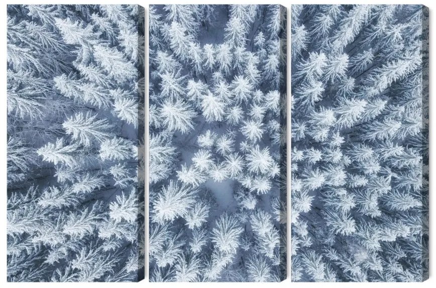Vícedílný obraz Letecký Pohled Na Zimní Les Nedostatek Nedostatek Plátno Canvas 120x80
