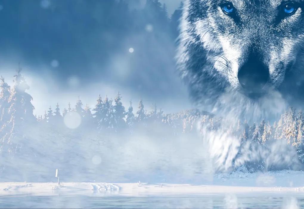 Obraz vlk nad krajinou Velikost (šířka x výška): 90x60 cm