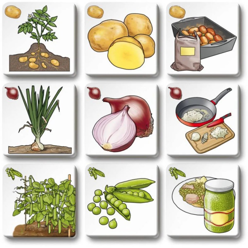EFKO Hra Pexetrio Ovoce a zelenina 36 dílků *SPOLEČENSKÉ HRY* ef8840