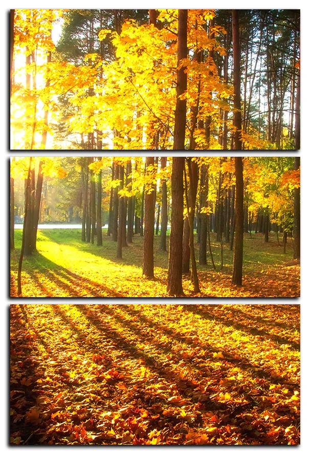 Obraz na plátně - Podzimní les - obdélník 7176B (120x80 cm)