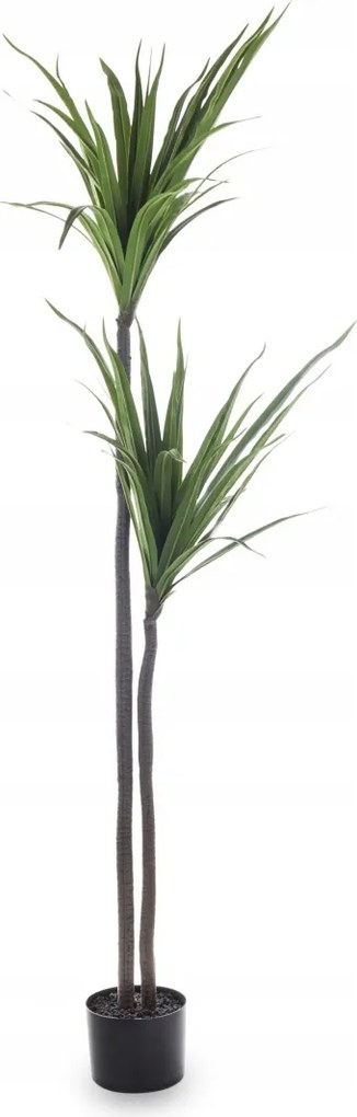 Dekorativní Rostlina Juka Dracaena 160 CM