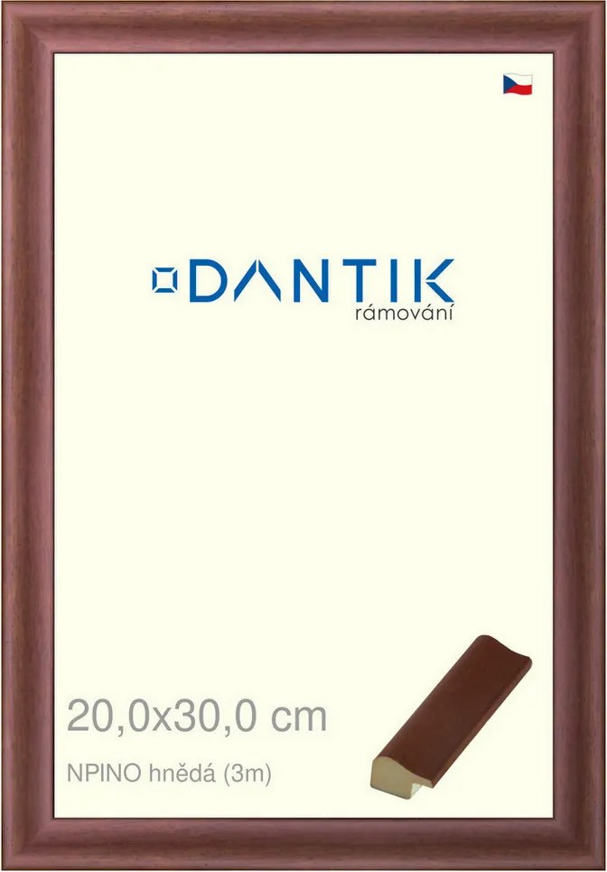 DANTIK rámeček 20x30 | NPINO hnědá (Sklo Čiré)