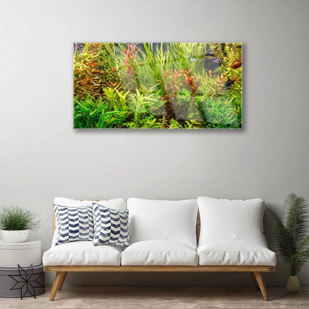 Obraz na skle Akvárium Rybičky Rostliny 100x50 cm