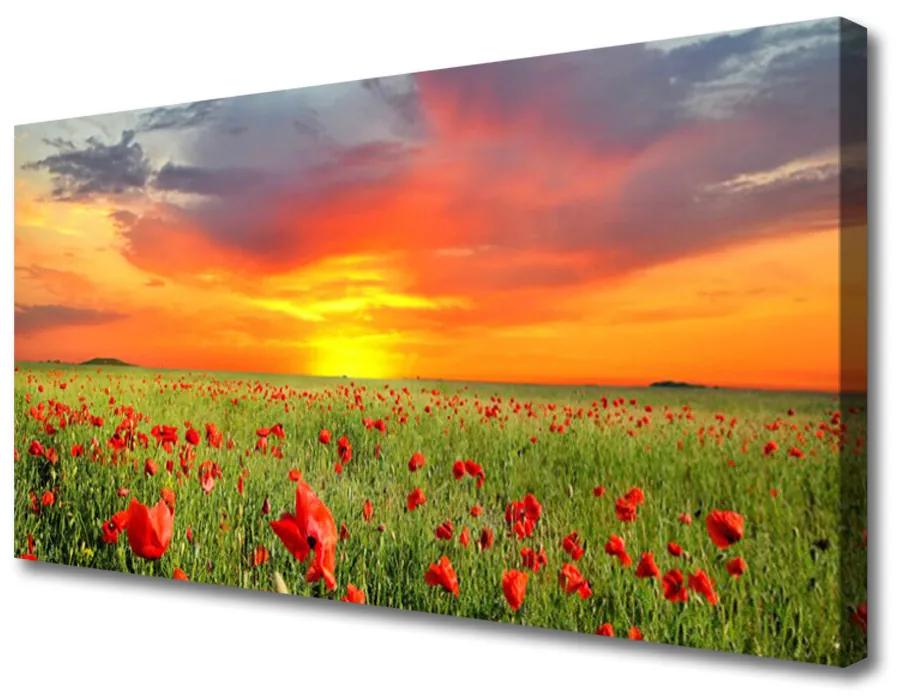 Obraz na plátně Máky Slunce Rostlina Příroda 140x70 cm