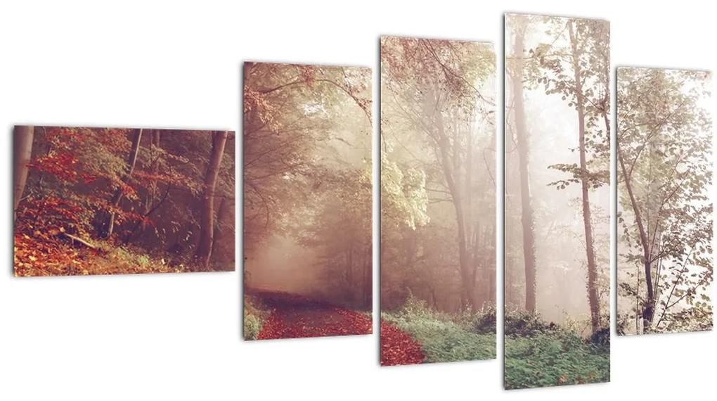 Obraz - Podzimní procházka lesem (110x60 cm), 40 dalších rozměrů