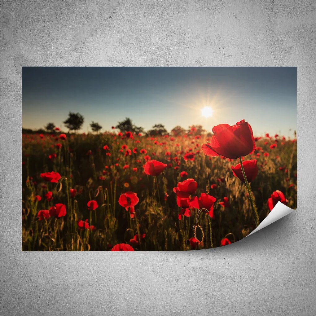 Plakát - Červené vlčí máky (60x40 cm) - PopyDesign