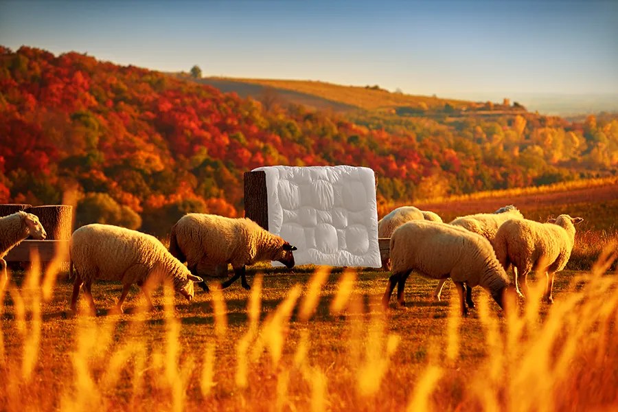 Lavinest Vlněná přikrývka Charmbed Wooly Hřejivost: celoroční, Rozměr: 135x200 cm