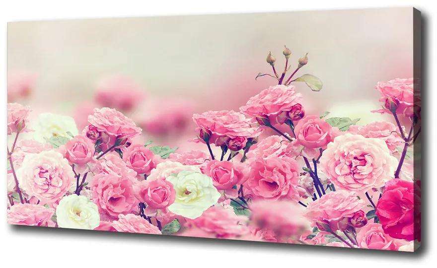 Wallmuralia Moderní fotoobraz canvas na rámu Květy divoké růže 100x50 cm