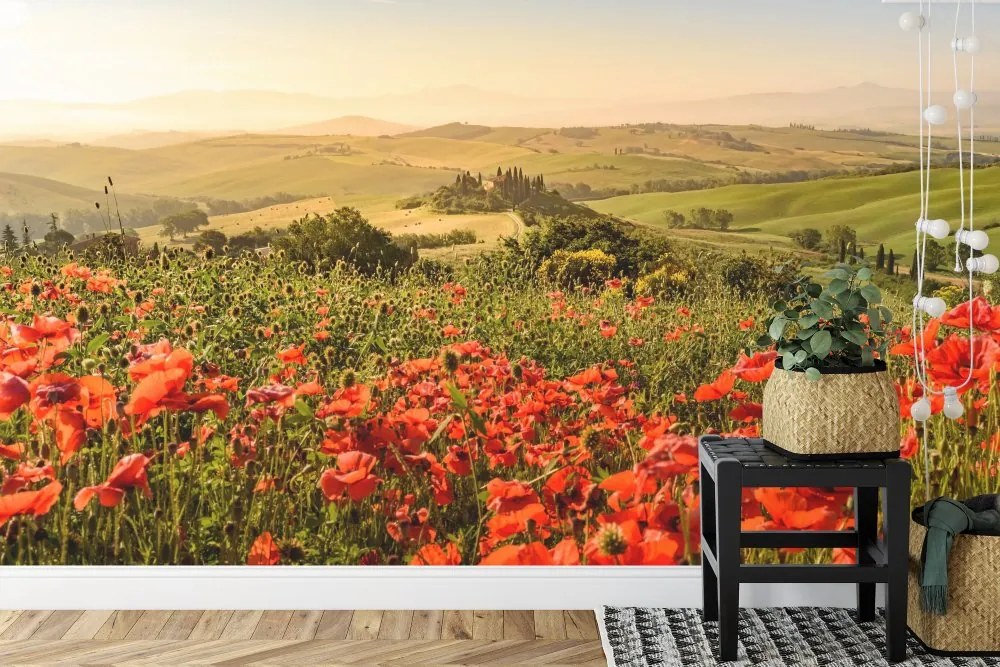 Fototapeta Poppy Field Strukturální vinyl 400x280