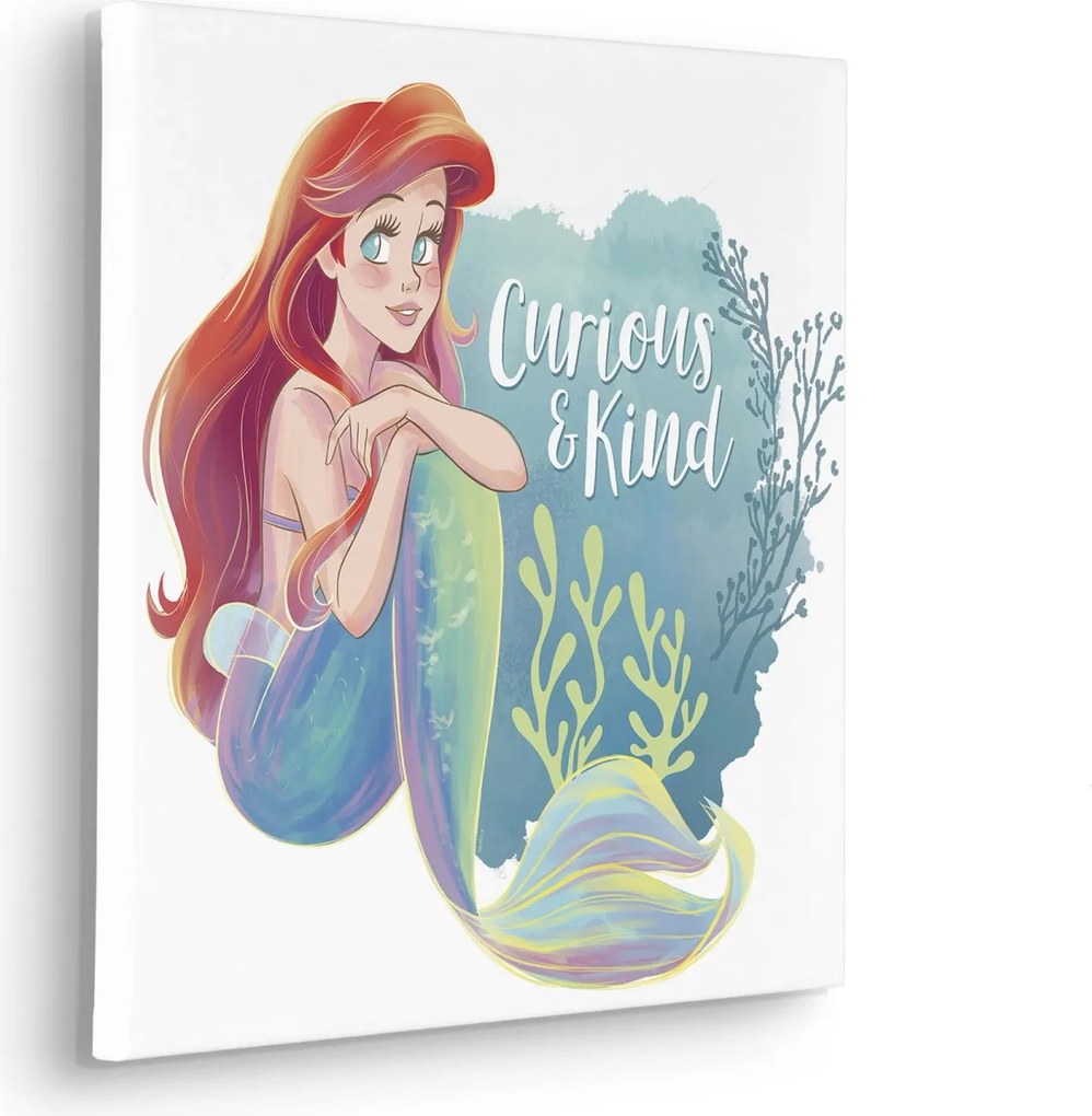 Komar Nástěnný obraz na rámu Disney Ariel Curious & Kind 40 x 40 cm