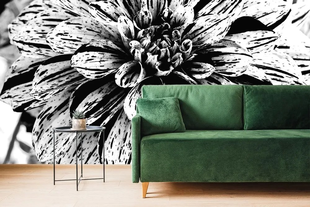 Tapeta rozkvetlý květ černobílý - 450x300 cm