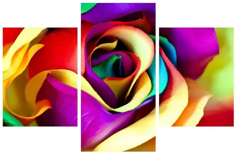 Barevný obraz abstraktní růže (90x60 cm)