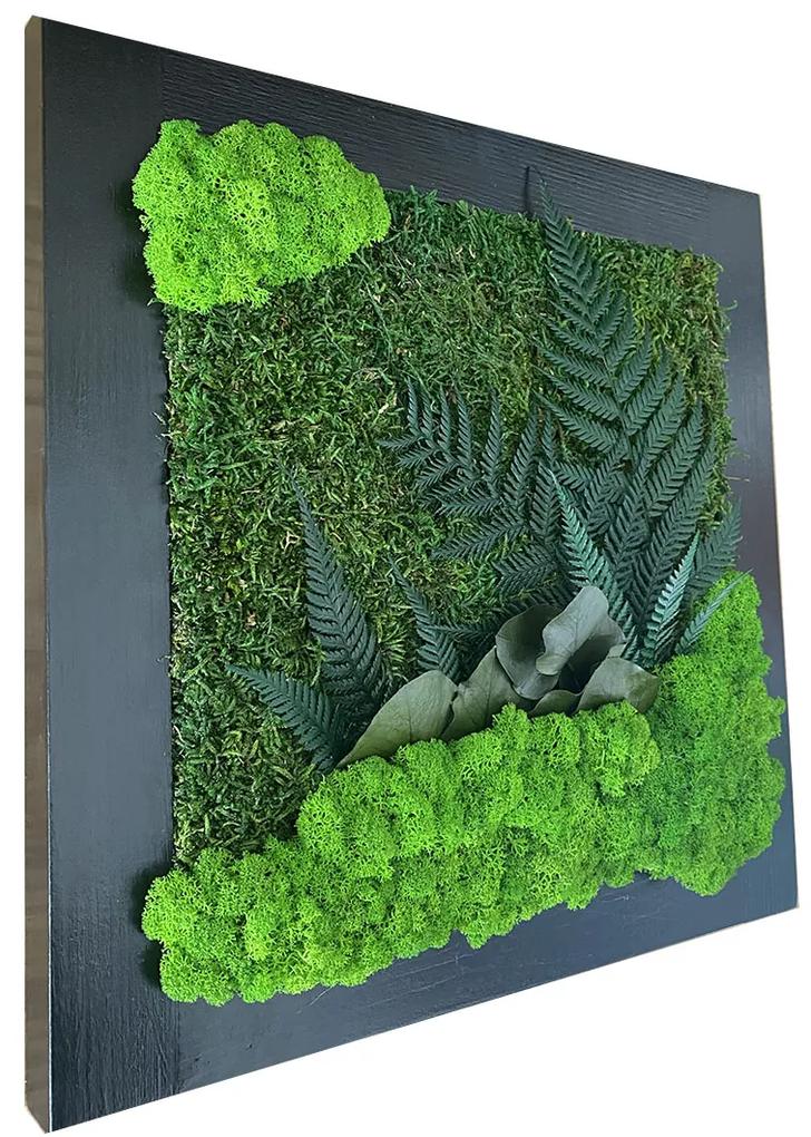 WOODILO Obraz ze stabilizovaného mechu a rostlin 110 Rozměr obrazu: 34x34 cm, Barva rámu: Černá, Síla rámu (pohledová): 3,7 cm