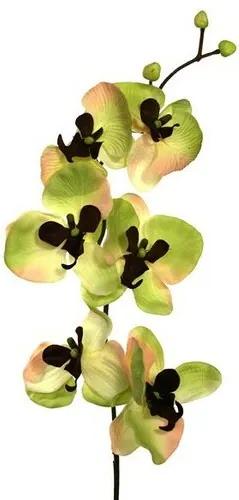 Umělá květina orchidej, zeleno-hnědá