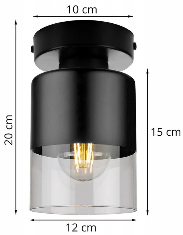 Stropní svítidlo Roma, 1x černé/transparentní skleněné stínítko